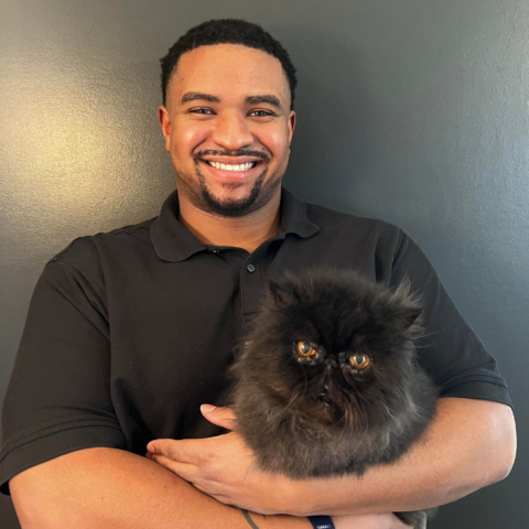 Veterinarian In Jefferson City, MO | Jefferson City Animal Hospital